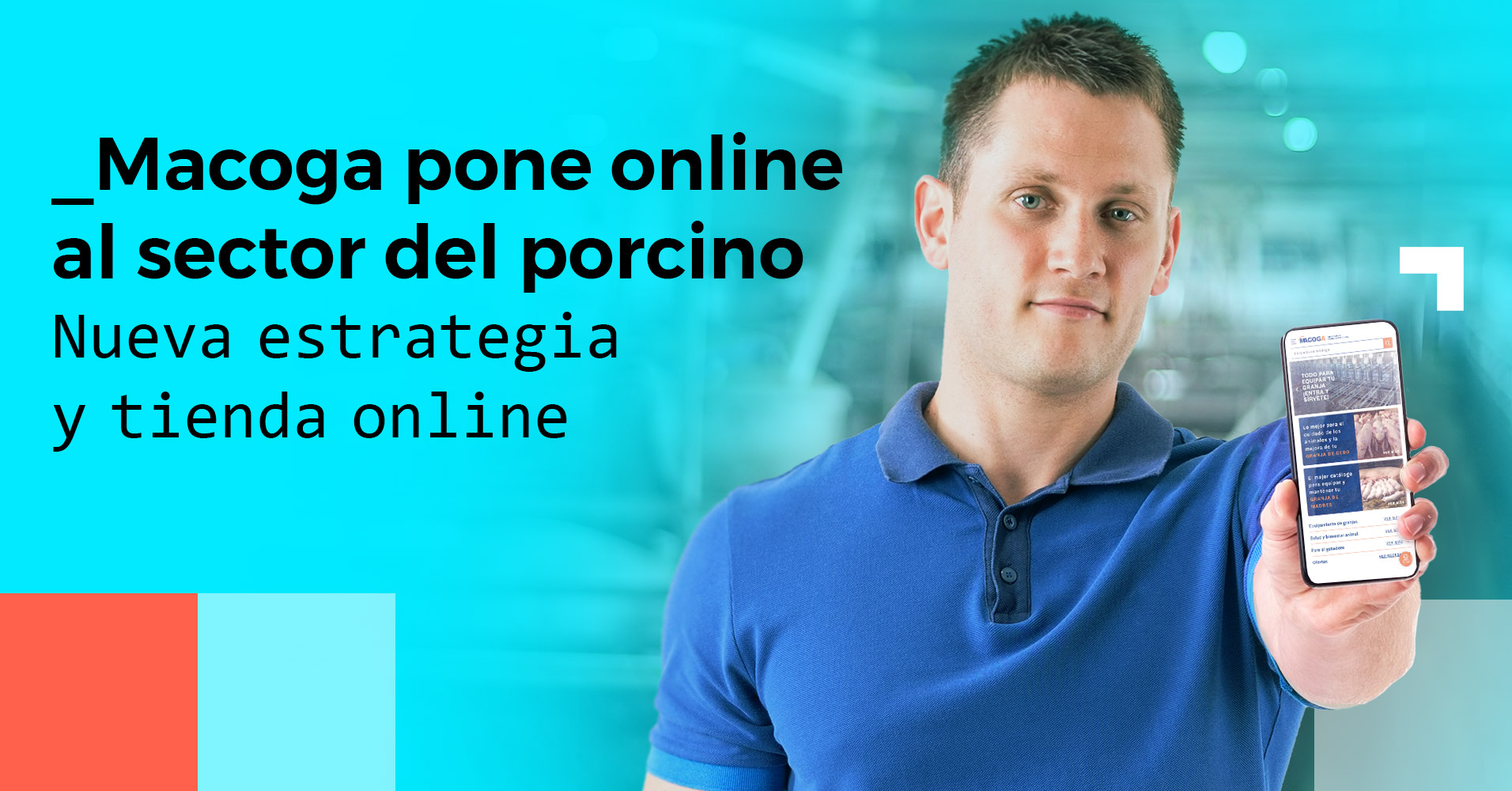 Macoga se reinventa para servir al ganadero de porcino online - Uup